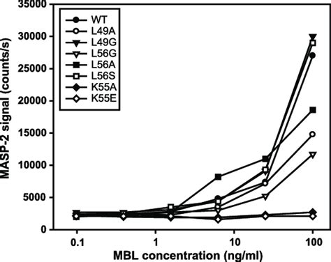 Interaction Between Recombinant Masp 2 And Selected Mbl Variants Bound