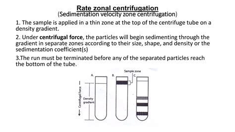 Density Gradient Centrifugation Pptx