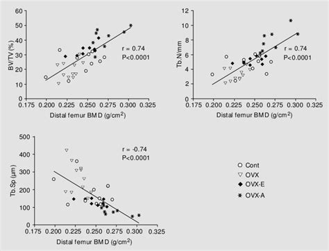 Correlation Between Distal Femur Bone Mineral Density Bmd Determined