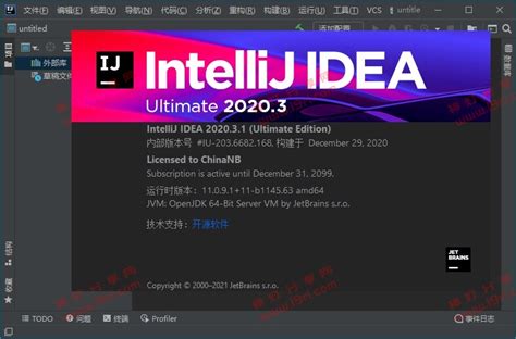 IntelliJ IDEA Ultimate 永久旗舰版 神灯分享网