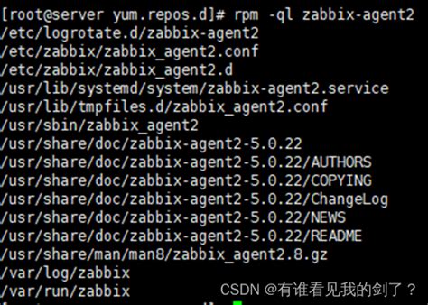 安装客户端zabbix Agent2zabbix Agent2客户端非命令下载 Csdn博客