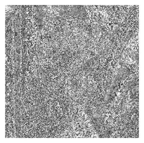 Original Lena Image And The Encrypted Images Using All 16 Primitive Download Scientific Diagram