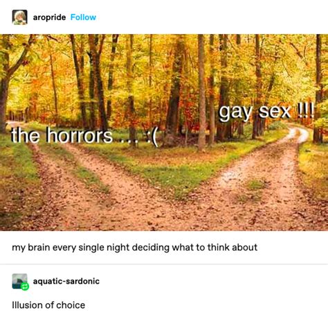 Why Not Both R Tumblr
