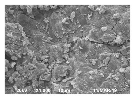 Microstructure Of Uhpc Without Lc Nc Additives Download Scientific Diagram