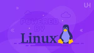 Linux Mint Vs Ubuntu Which Linux Distribution To Choose UltaHost Blog