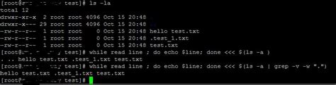 Linux Bash Loop Through Directory Including Hidden File Stack Overflow