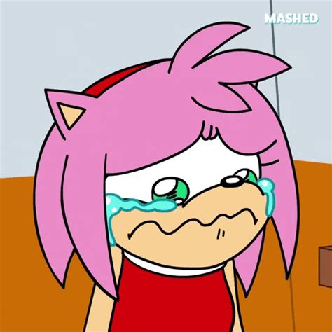 Amy Rose The Hedgehog Crying