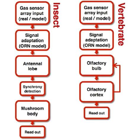 Schematic Illustration Of The Sensor Array Assembly Download Scientific Diagram