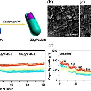 A Schematic Illustration Of Synthesis Of The Core Shell Structured Download Scientific