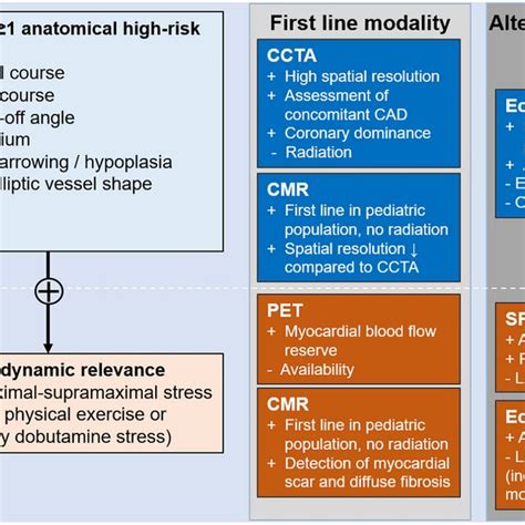 Aaoca Cases With Anatomical High Risk Features And Multimodality