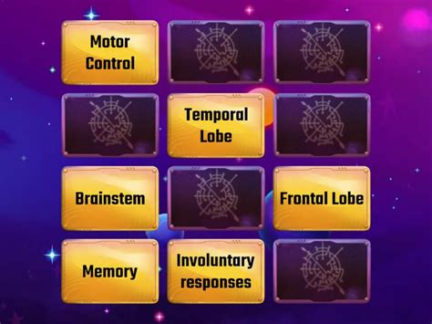 Brain Sections Parejas