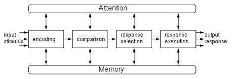 Cognitive Frameworks For HCI