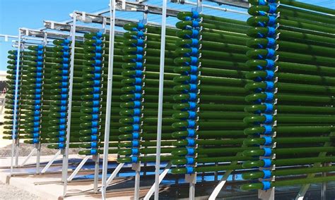 Tubular Photobioreactor 1400l Algae Living