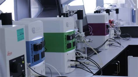 Bioengineering Tissue Lab Faculty Of Engineering The University Of Sheffield