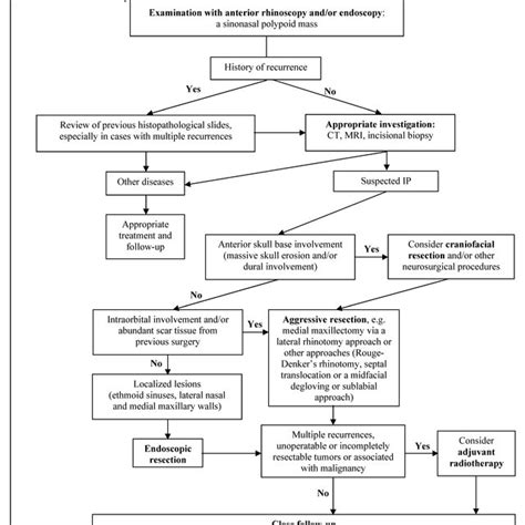 Algorithm For Managing Sinonasal Inverted Papilloma Ip Abbreviations Download Scientific