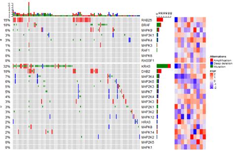 利用complexheatmap绘制复杂热图 Omics Hunter