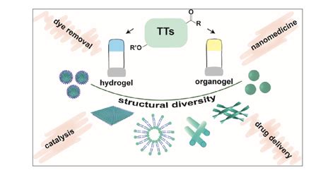 Triterpenoid Building Blocks For Functional Nanoscale Assemblies A