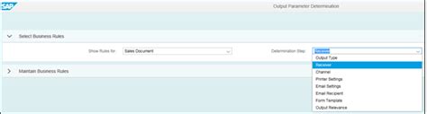 Sap Abap Central Creating Custom Output Type For Sales Scheduling