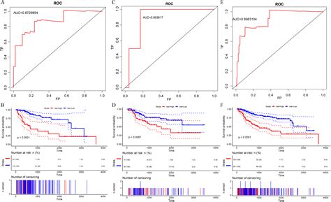 Bioinformatics Profiling Identifies Seven Immune Related Risk