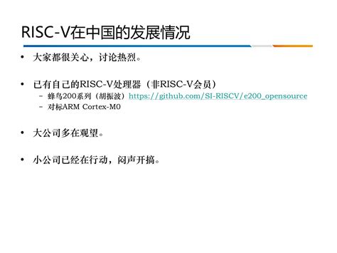 lowrisc多核开源平台和risc v在中国的发展