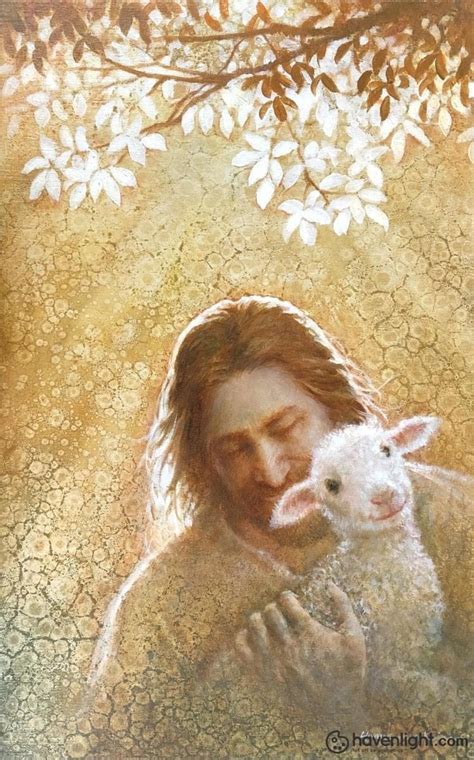 양을 않고 있는 예수님