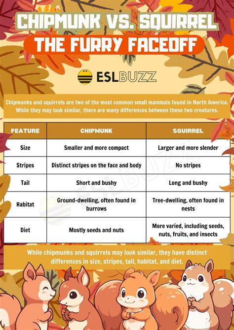 Chipmunk Vs Squirrel A Comprehensive Comparison Of Two Furry Friends