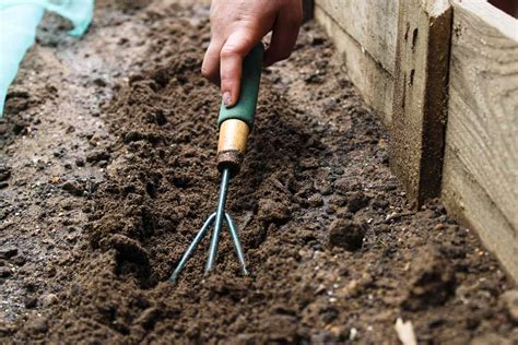 What Is Loam Soil