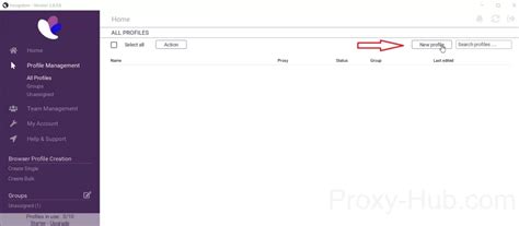 Incogniton Proxy Integration Guide With Video Proxy Hub Blog