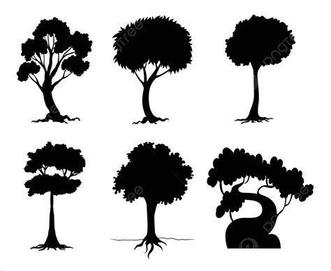 Trees Tall Drawing Illustration Vector Tall Drawing Illustration PNG And Vector With