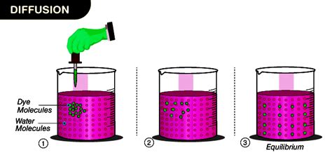 Understanding Diffusion Definition Types Factors And Significance