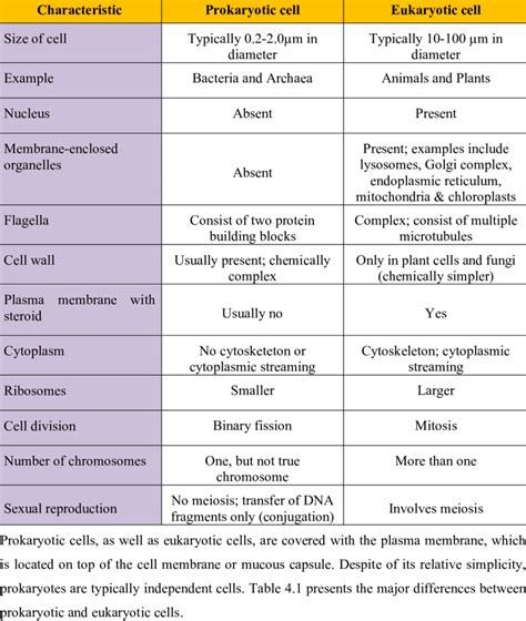 Difference Between Prokaryotic And Eukaryotic Cell Maria Ball