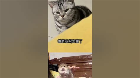 Shorts Mustwatch Dim Wit Youtube