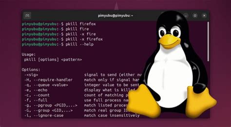 How To Kill A Process On Ubuntu Pi My Life Up