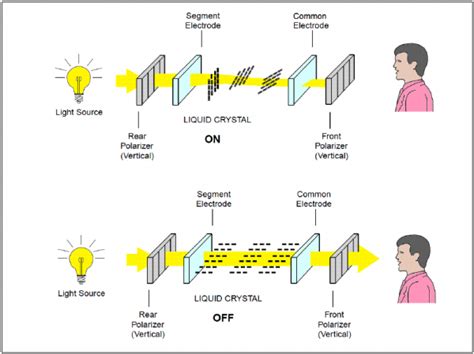 Lcd Display Fundamentals Liquid Crystal Display Working Lcd Display Fundamentals Liquid Crystal Display Working