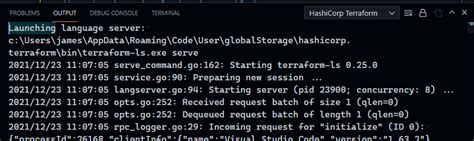 Running Hashicorp Terraform Formatter Hangs · Issue 878 · Hashicorp
