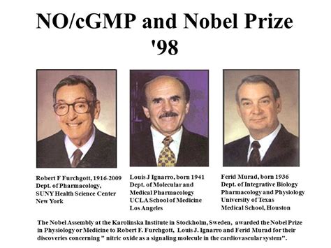 What Is L Arginine And Why To Plug Nutritional Gaps With Argi