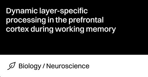 Dynamic Layer Specific Processing In The Prefrontal Cortex During
