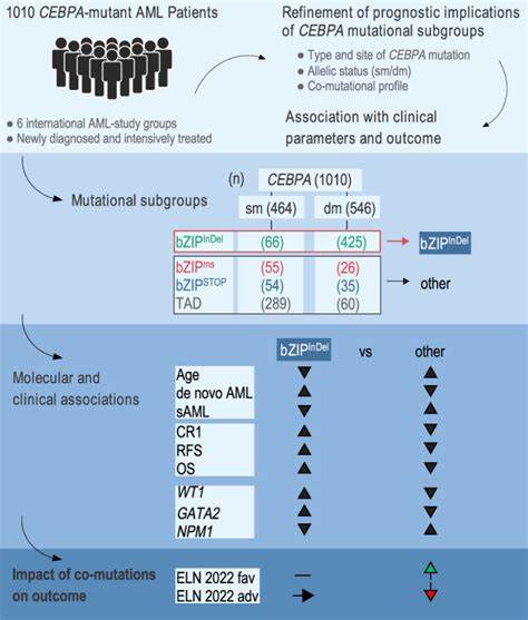 Prognostic Impact Of Cebpa Mutational Subgroups In Adult Aml Pmc