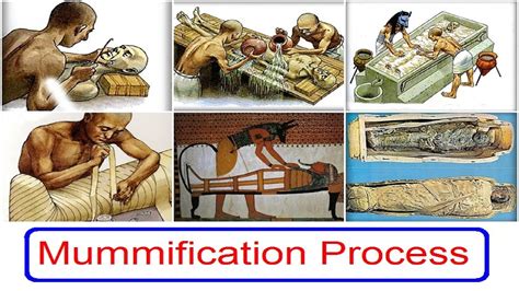 Mummification Process In Ancient Egypt Youtube