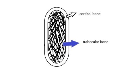 Codecrazer 高永碩醫師 口腔癌 Ajcc 8 分期