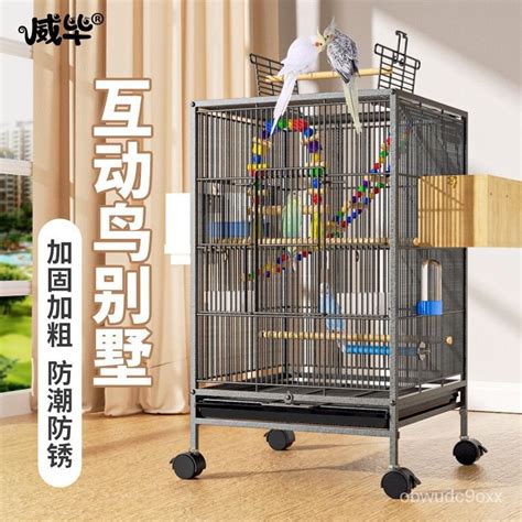 鳥籠 傢用鸚鵡籠子 繁殖牡丹虎皮玄鳳專用大號別墅 鸚鵡籠實用 蝦皮購物