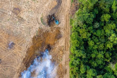 Global carbon emissions from fossil fuels reached record high in 2023 | Stanford Doerr School of ...