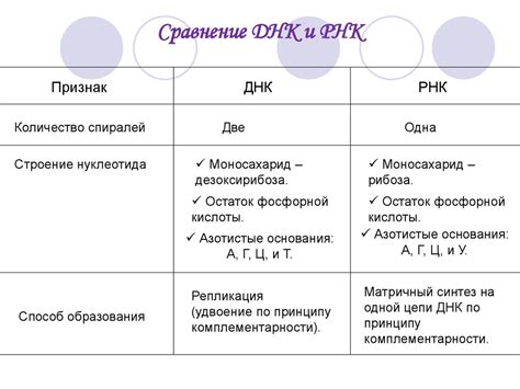 Нуклеиновые кислоты АТФ и другие органические соединения клетки