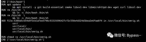 docker 恶意挖矿镜像应急实例 docker容器应急 csdn博客