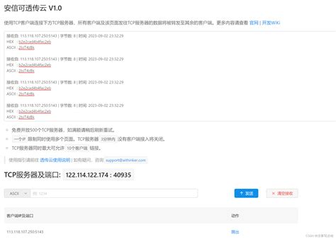 物联网技术：安信可服务、公网ip申请与esp8266开发教程 Csdn博客