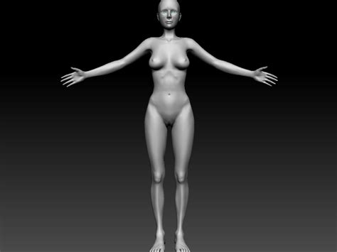 Kingblue Sketchbook Some Nudity ZBrushCentral