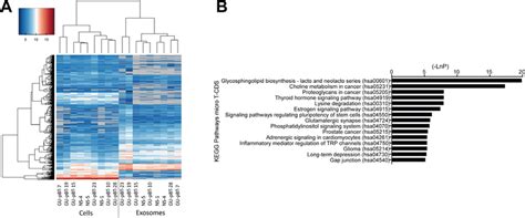 Mirna Distribution And Targeted Pathways A Hierarchical Clustering Download Scientific