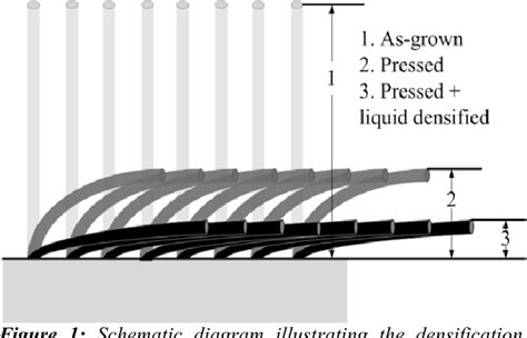 Figure 1 From Densely Packed Carbon Nanotube Forest On Silicon Substrate For Mems Supercapacitor