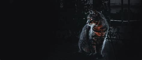 Autobe Guide Documents Backend Stack Nestjs Framework