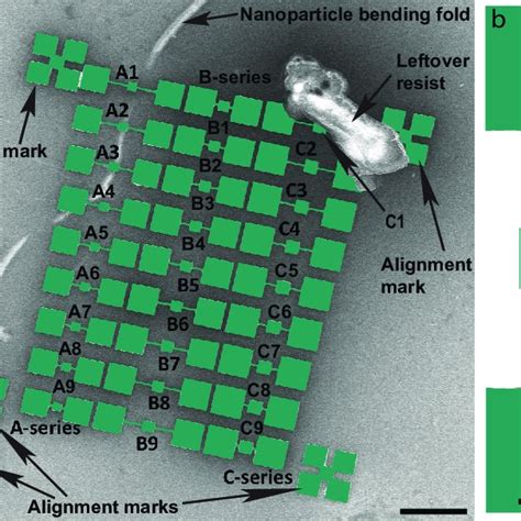 False Color Sem Image Of Self Assembly Of Nanoparticles On Soi Download Scientific Diagram